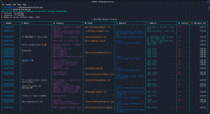Manual OSINT - Hack Underway