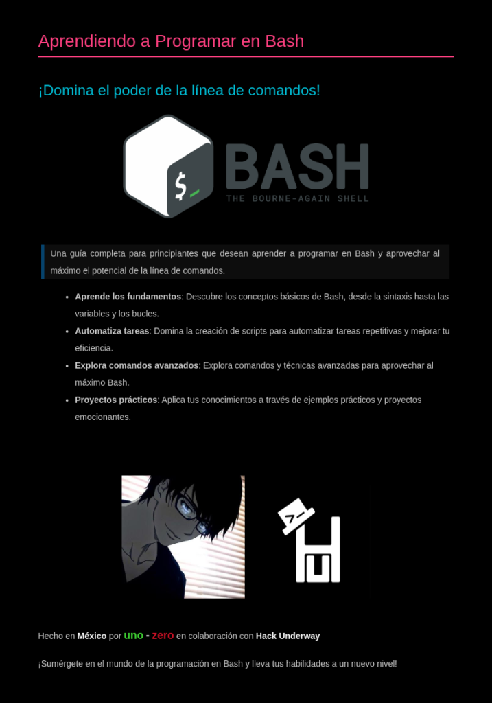 Manual BASH - Hack Underway